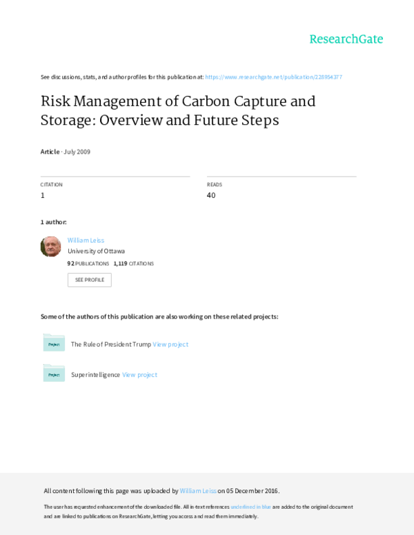 (PDF) Risk Management of Carbon Capture and Storage: Overview and ...