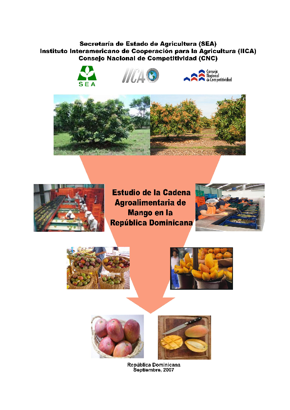 (PDF) Oficina en la República Dominicana