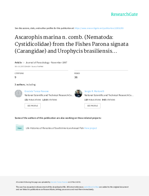 (PDF) Ascarophis marina n. comb.(Nematoda: Cystidicolidae) from the ...