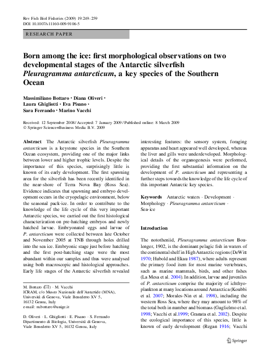 (PDF) Born among the ice: first morphological observations on two ...