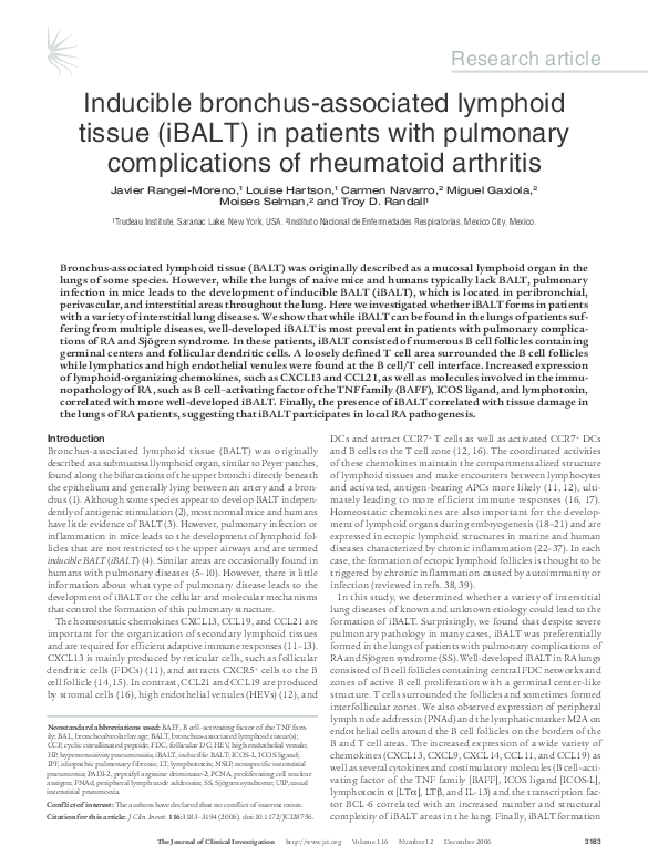 (PDF) Inducible bronchus-associated lymphoid tissue (iBALT) in patients ...