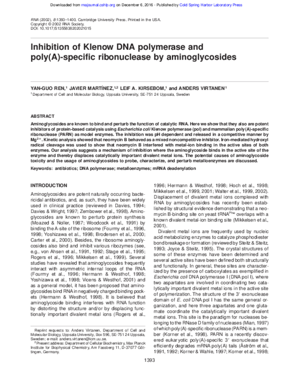 (PDF) Inhibition of Klenow DNA polymerase and poly(A)-specific ...