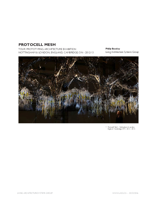 (PDF) Protocell Mesh
