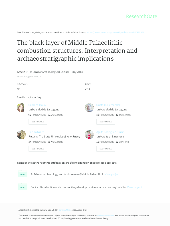 (PDF) The Black Layer of Middle Palaeolithic Combustion Structures ...