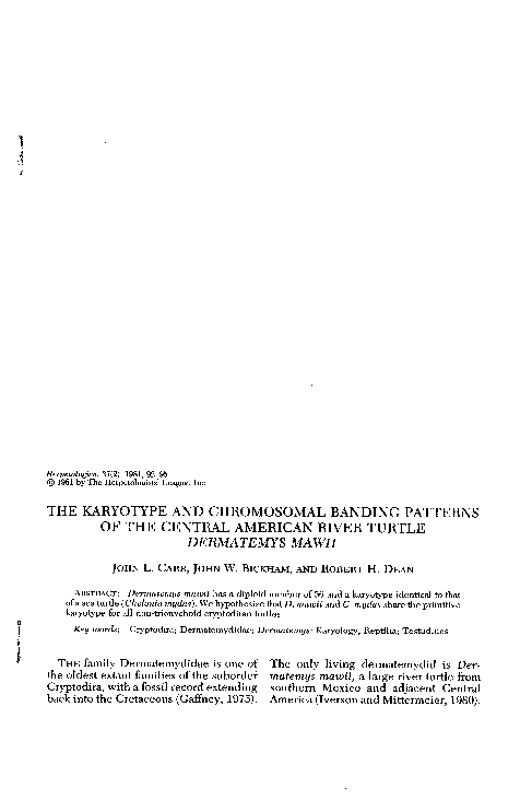 (PDF) The karyotype and chromosomal banding patterns of the Central ...