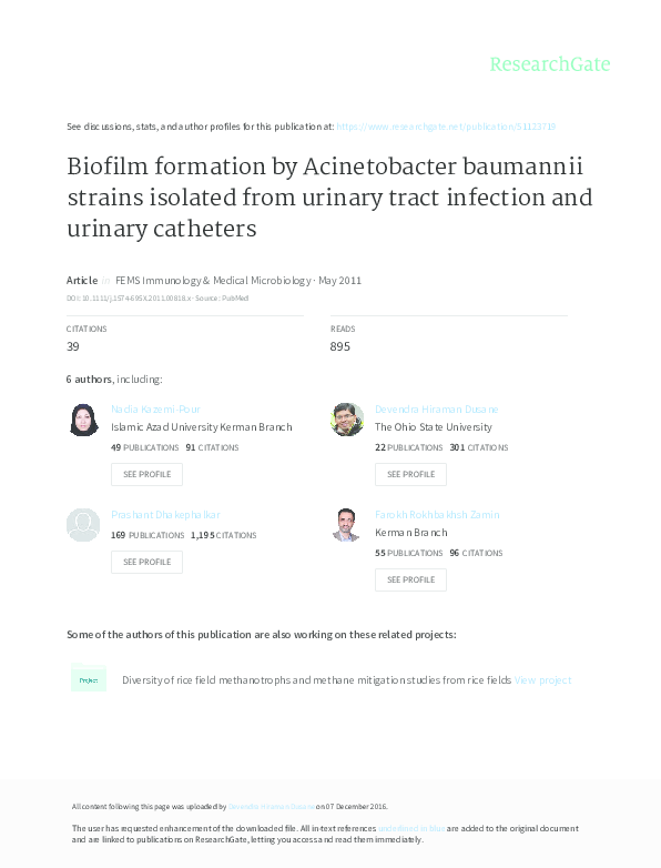 (PDF) Biofilm formation by Acinetobacter baumannii strains isolated ...