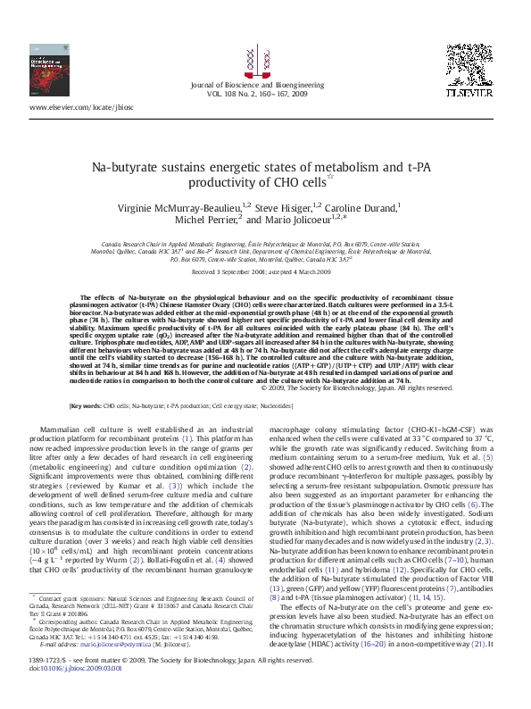 (PDF) Na-butyrate sustains energetic states of metabolism and t-PA ...