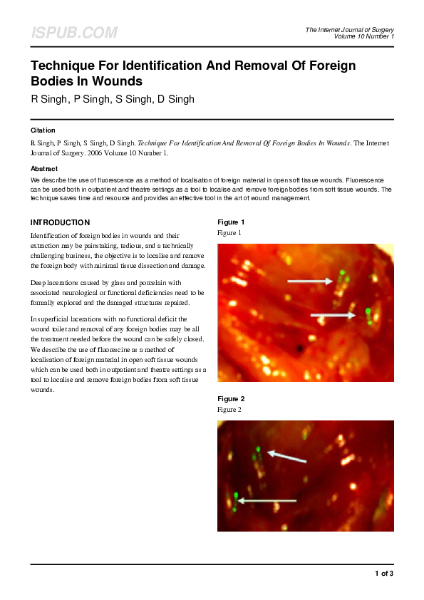 (PDF) Technique For Identification And Removal Of Foreign Bodies In Wounds