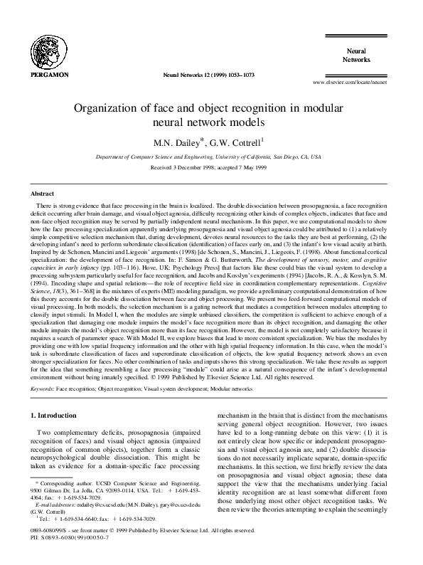(PDF) Organization of face and object recognition in modular neural network models
