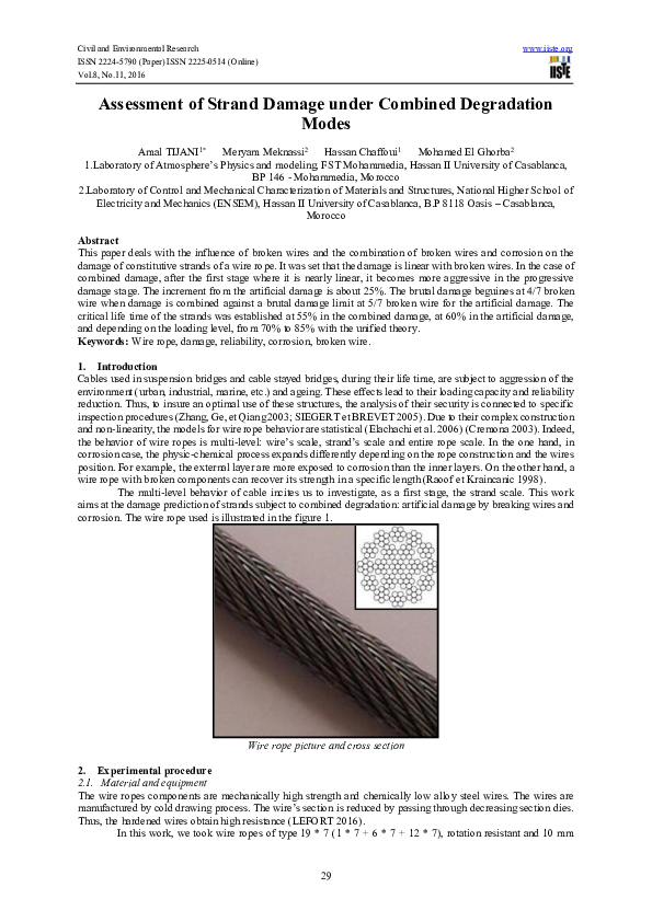 (PDF) Assessment of Strand Damage under Combined Degradation Modes