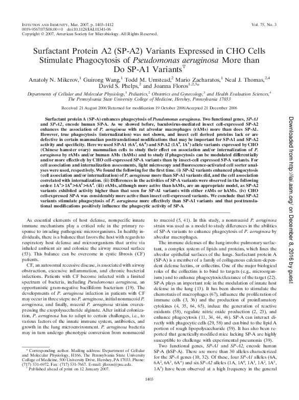 (PDF) Surfactant Protein A2 (SP-A2) Variants Expressed in CHO Cells ...
