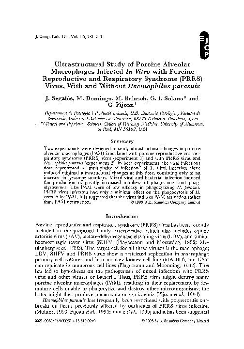 (PDF) Ultrastructural study of porcine alveolar macrophages infected in ...