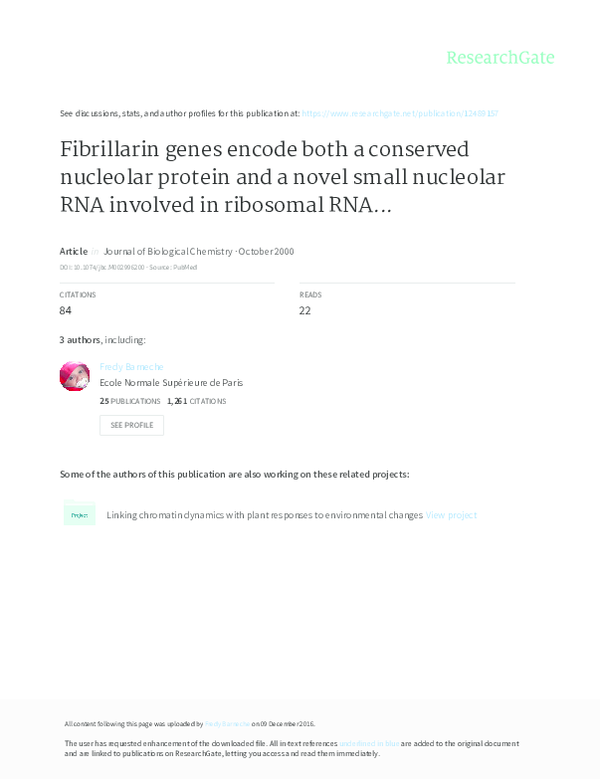 (PDF) Fibrillarin genes encode both a conserved nucleolar protein and a ...