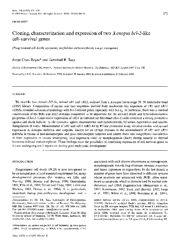 (PDF) Cloning, characterization and expression of two Xenopus bcl-2 ...
