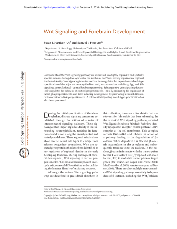 (PDF) Wnt Signaling and Forebrain Development