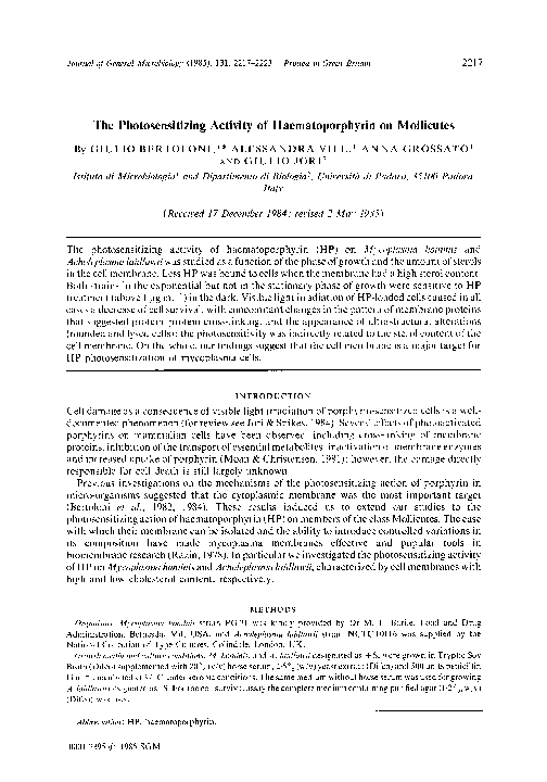 The Photosensitizing Activity of Haematoporphyrin on Mollicutes