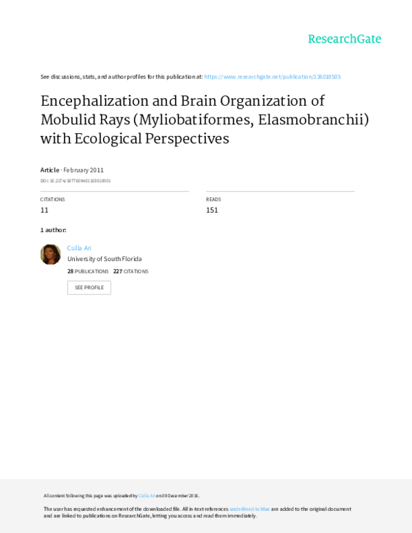 (PDF) Encephalization and Brain Organization of Mobulid Rays ...