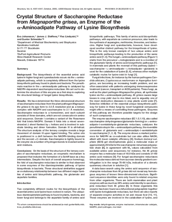 (PDF) Crystal Structure of Saccharopine Reductase from Magnaporthe ...