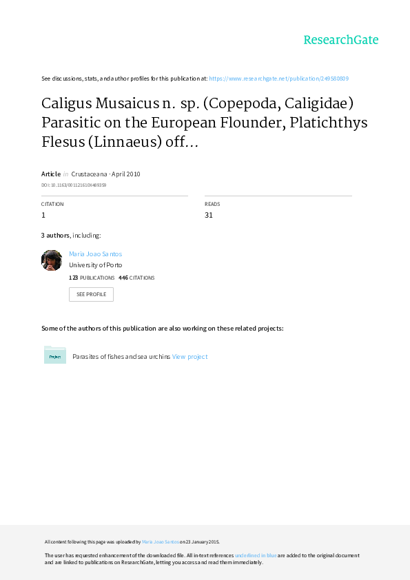 (PDF) Caligus Musaicus n. sp. (Copepoda, Caligidae) Parasitic on the ...
