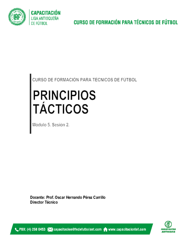 (PDF) Documento Principios Tacticos