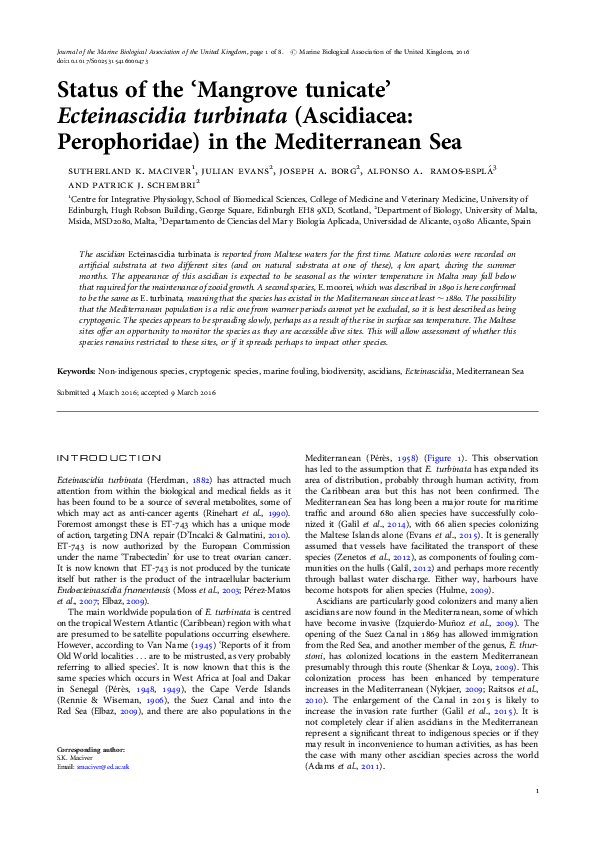 (PDF) Status of the 'Mangrove tunicate' Ecteinascidia turbinata ...