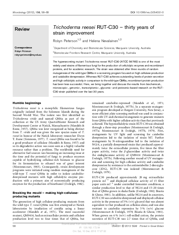 (PDF) Trichoderma reesei RUT-C30 – thirty years of strain improvement | suzan yami - Academia.edu