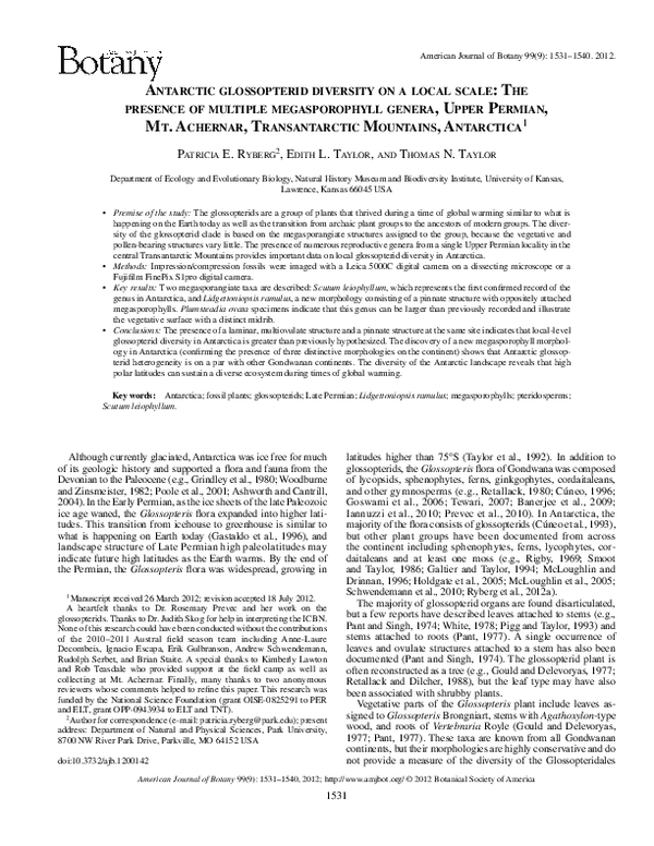 (PDF) Diverse Glossopterids of Upper Permian Antarctica