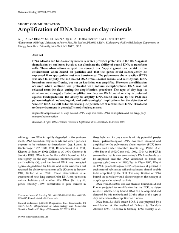 (PDF) Amplification of DNA bound on clay minerals