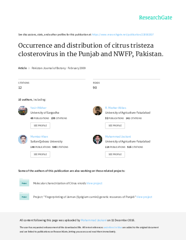 (PDF) Occurrence and distribution of citrus tristeza Closterovirus in ...
