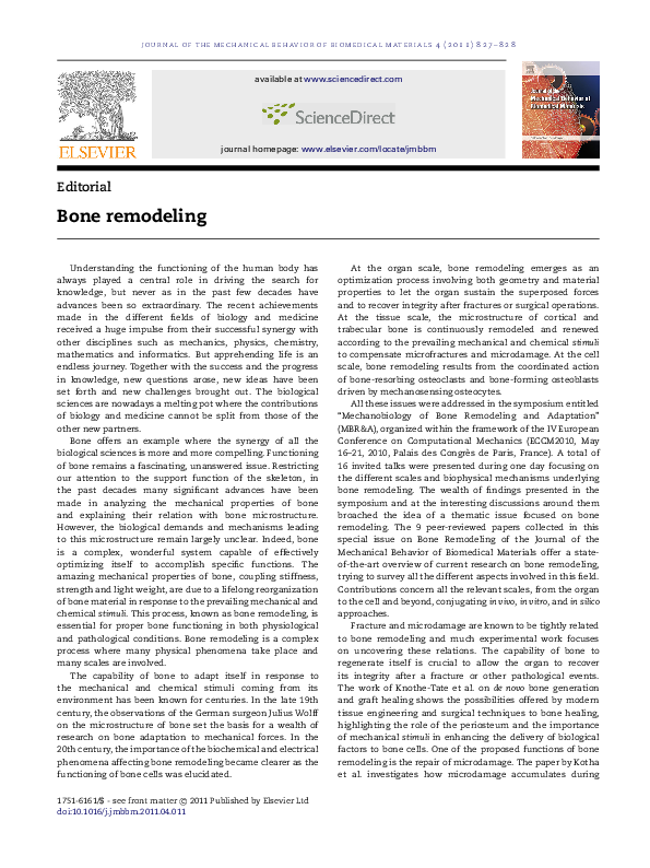 (PDF) Bone remodeling