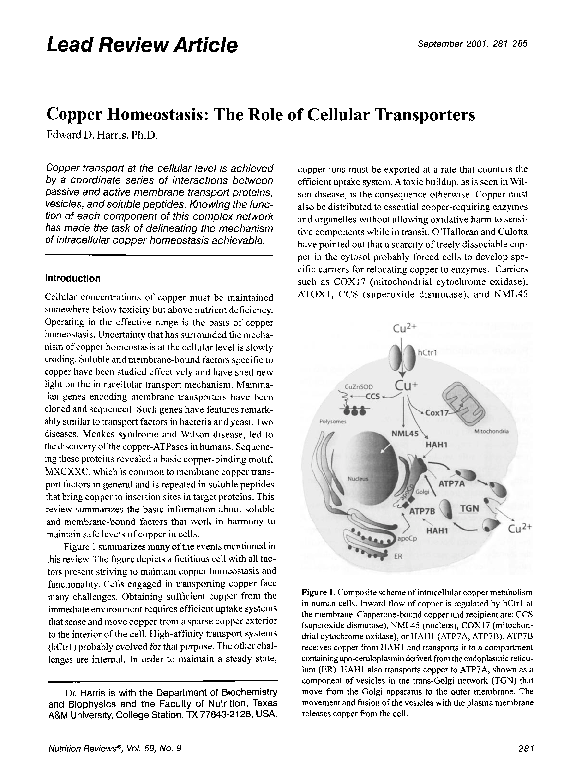 (PDF) Copper Homeostasis: The Role of Cellular Transporters