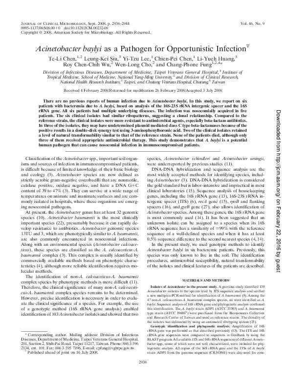 (PDF) Acinetobacter baylyi as a pathogen for opportunistic infection