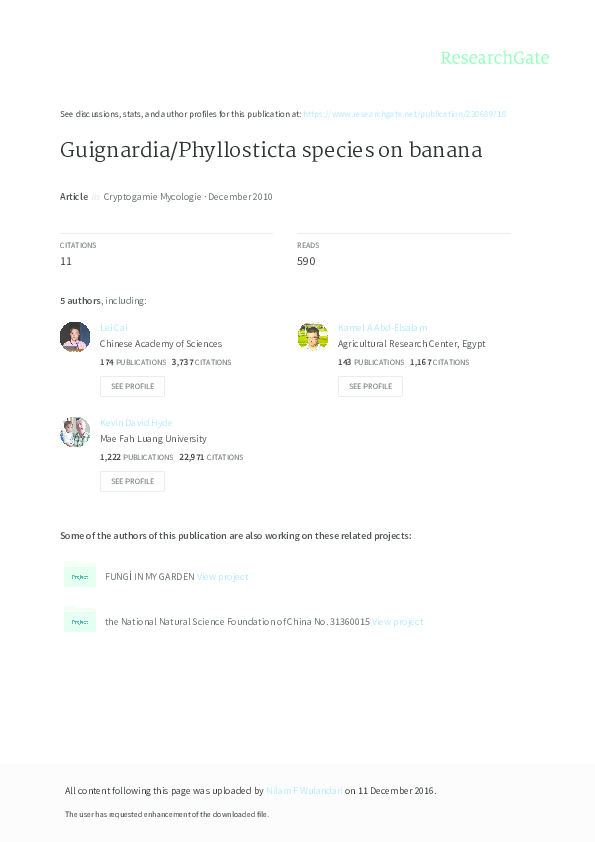(PDF) Guignardia/Phyllosticta species on banana