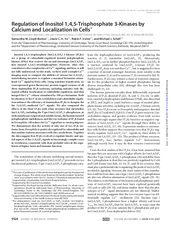 (PDF) Calcium-Dependent Regulation of IP3 Kinases