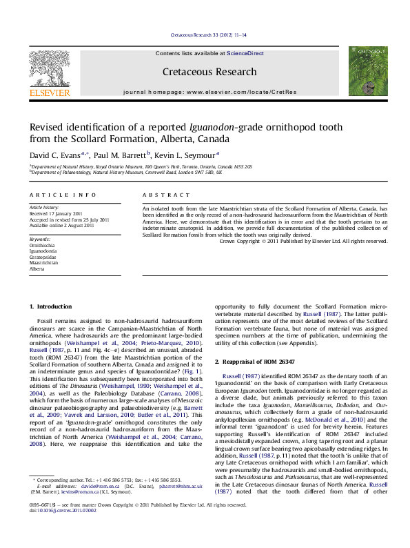 (PDF) Revised identification of a reported Iguanodon-grade ornithopod ...