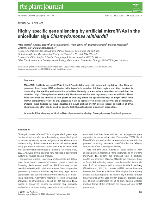 (PDF) Highly Specific Gene Silencing by Artificial MicroRNAs in Arabidopsis