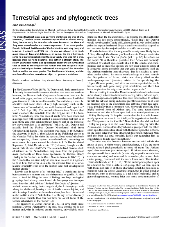 (PDF) Terrestrial apes and phylogenetic trees