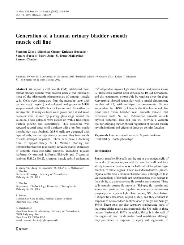 (PDF) Generation of a human urinary bladder smooth muscle cell line
