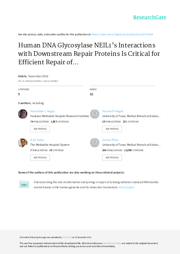 (PDF) Human DNA Glycosylase NEIL1’s Interactions with Downstream Repair Proteins Is Critical for ...