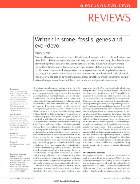 (PDF) Written in stone: fossils, genes and evo–devo