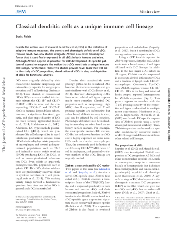 (PDF) Classical dendritic cells as a unique immune cell lineage