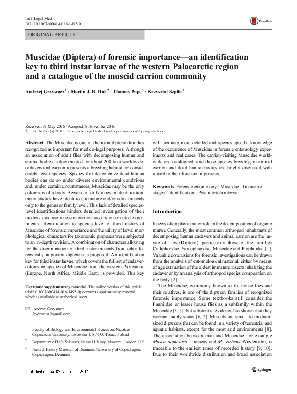 (PDF) Muscidae (Diptera) of forensic importance—an identification key ...