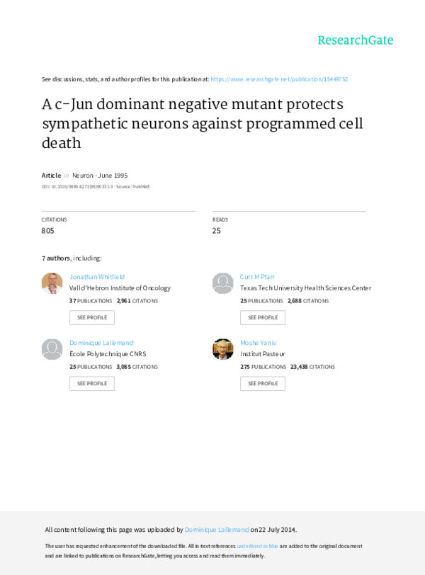 (PDF) A c-jun dominant negative mutant protects sympathetic neurons against programmed cell death