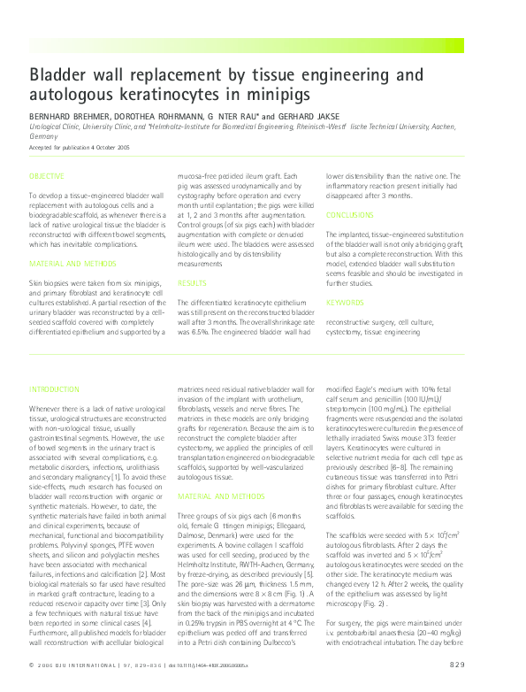 (PDF) Bladder wall replacement by tissue engineering and autologous ...
