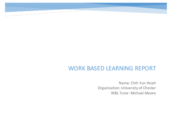 (PDF) WORK BASED LEARNING REPORT