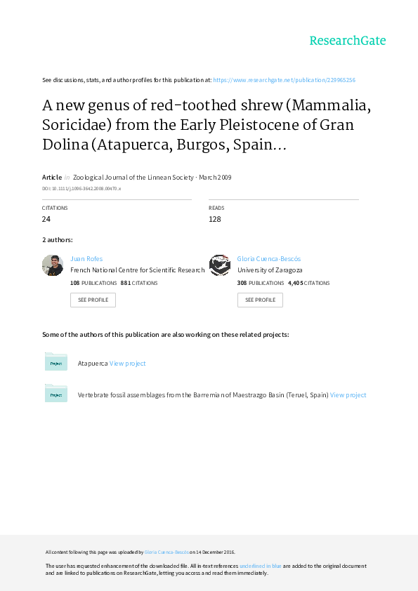 (PDF) A new genus of red‐toothed shrew (Mammalia, Soricidae) from the ...