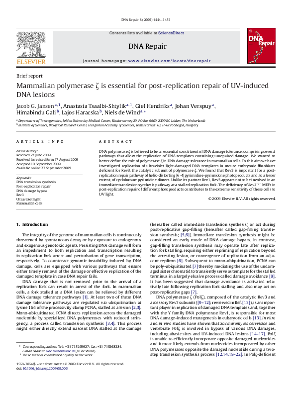 (PDF) Mammalian polymerase is essential for post-replication repair of ...