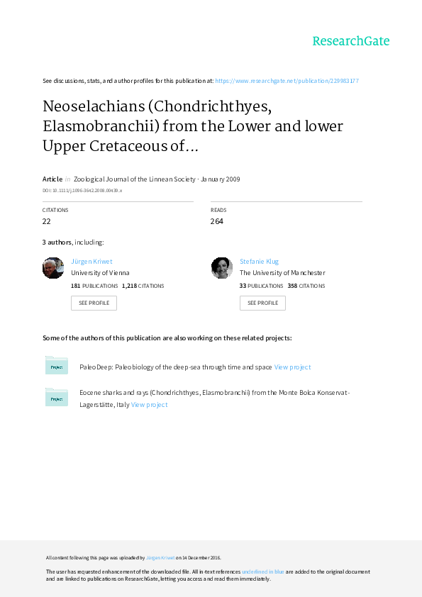 (PDF) Neoselachians (Chondrichthyes, Elasmobranchii) from the Lower and ...