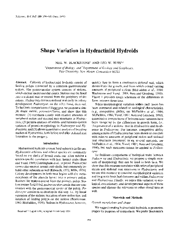 (PDF) Shape Variation in Hydractiniid Hydroids | Neil Blackstone ...
