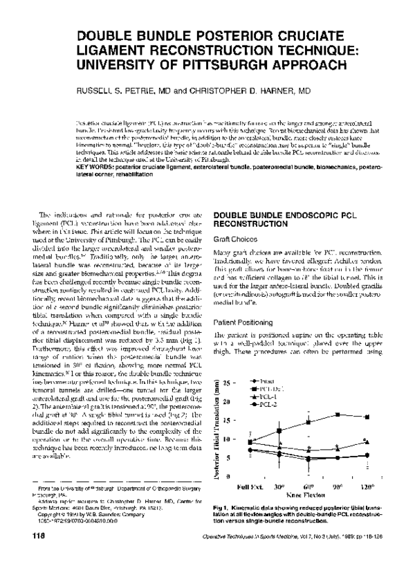 (PDF) Double bundle posterior cruciate ligament reconstruction ...